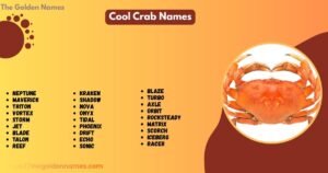 400+ Best Crab Names: Famous and Funny, Cute..