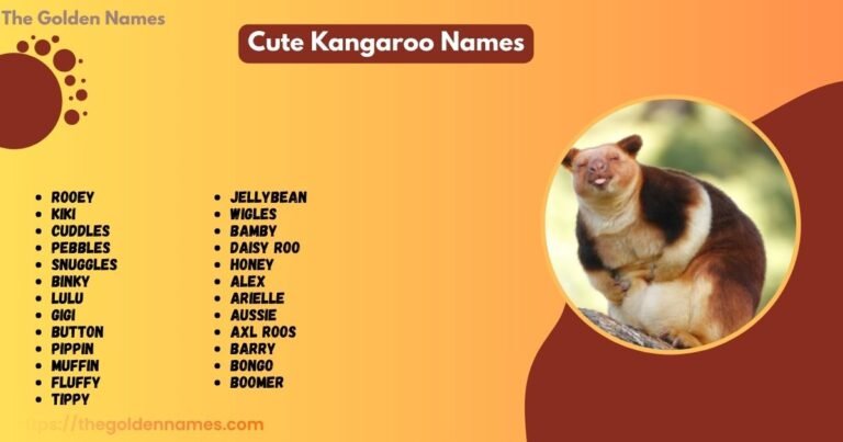 440+ Best Kangaroo Names: Funny, Cute & Famous