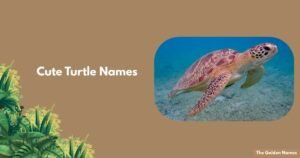 500+ Best Turtle Names (Cute and Funny, Cool Ideas for you Tortoise)