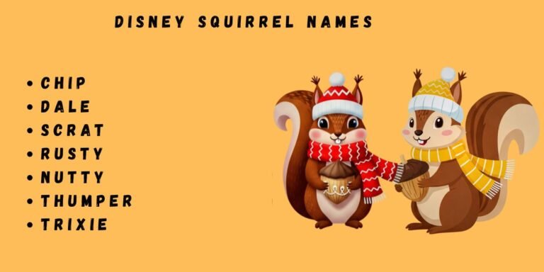 510+ Top Squirrel Names: Cute & Funny Names for Squirrel