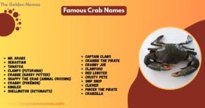 400+ Best Crab Names: Famous and Funny, Cute..