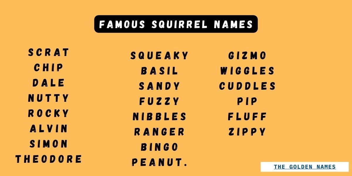 510+ Top Squirrel Names: Cute & Funny Names for Squirrel