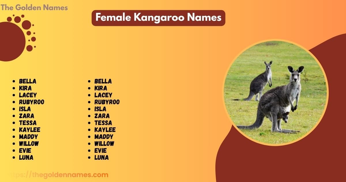 440+ Best Kangaroo Names: Funny, Cute & Famous
