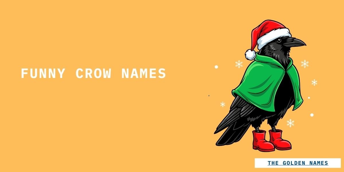 700+ Crow Names: Funny, Catchy, Mythical and Famous Names