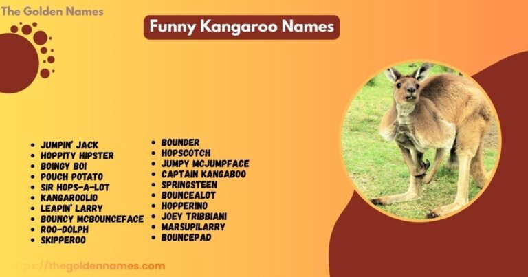 440+ Best Kangaroo Names: Funny, Cute & Famous