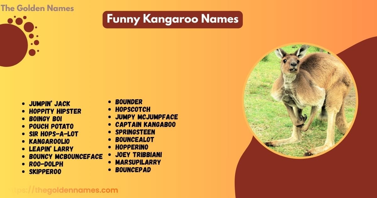 440+ Best Kangaroo Names: Funny, Cute & Famous