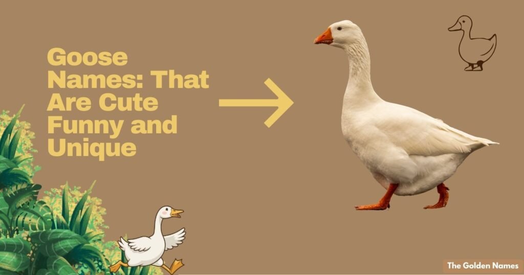 300+ Best Goose Names: That Are Cute, Funny, and Unique