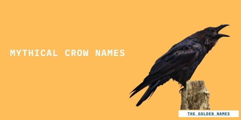 700+ Crow Names: Funny, Catchy, Mythical and Famous Names