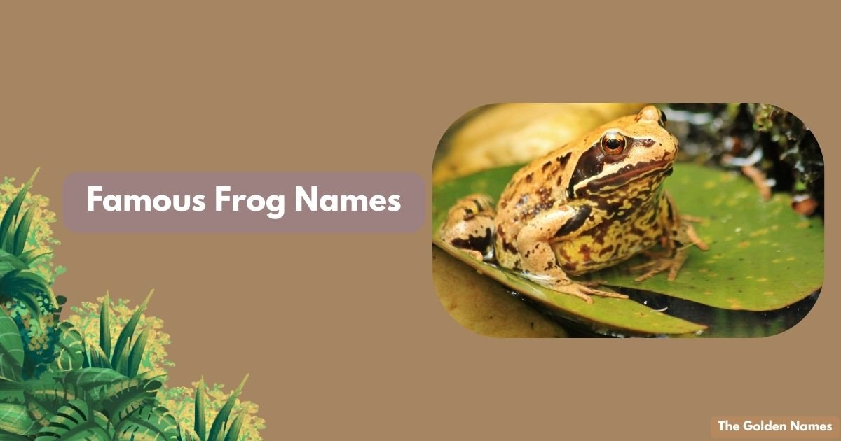 500+ Pet Frog Names (Cute, Funny, & Famous)